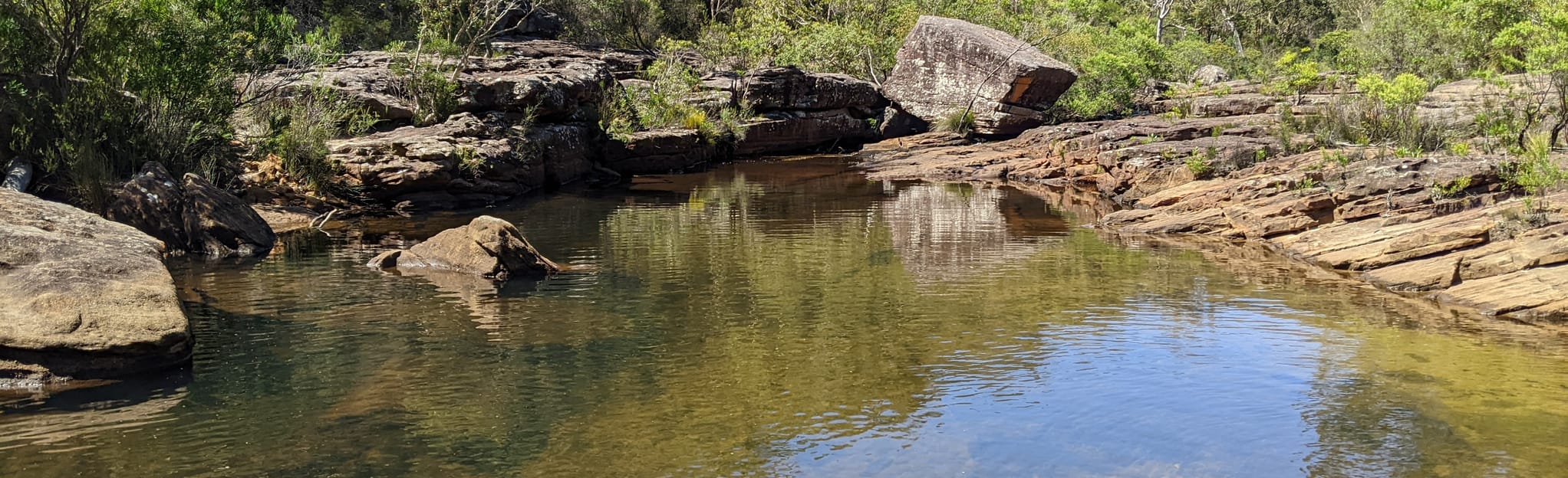 Engadine Track: 105 Reviews, Map - New South Wales, Australia | AllTrails