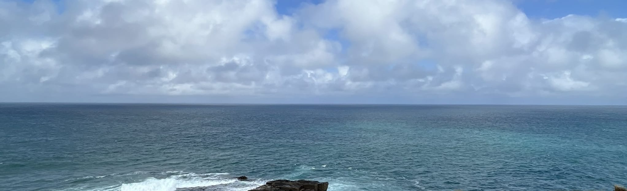 Curio Bay Trail: 10 Reviews, Map - Southland, New Zealand | AllTrails