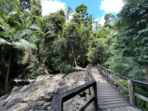 10 Best Hikes and Trails in D’Aguilar National Park | AllTrails