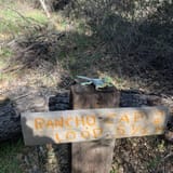 Morgan Trail, California - 466 Reviews, Map | AllTrails
