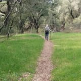 Morgan Trail, California - 466 Reviews, Map | AllTrails