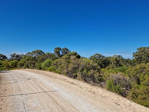 Best Hikes and Trails in Paganoni Swamp Reserve | AllTrails