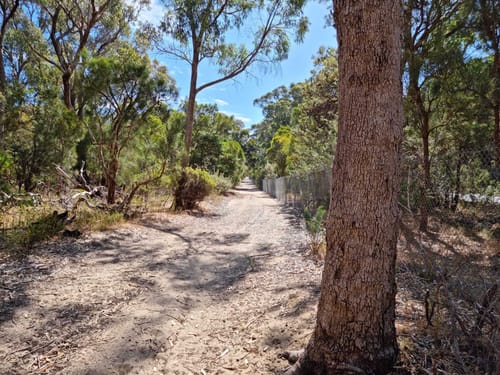 2023 Best Wild Flowers Trails in Karnup | AllTrails
