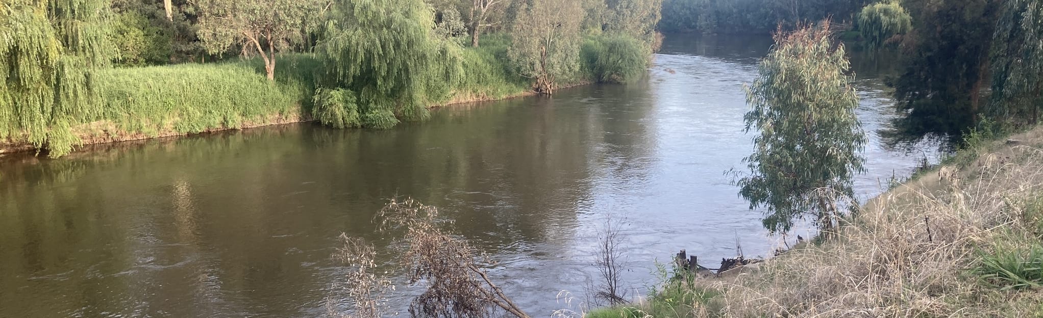 Wiradjuri Walking Track Loop: 87 Zdjęcia – New South Wales, Australia ...