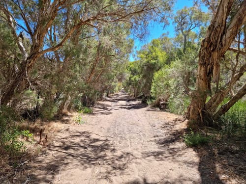 Best Hikes and Trails in Paganoni Swamp Reserve | AllTrails