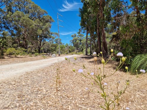 2023 Best Wild Flowers Trails in Karnup | AllTrails
