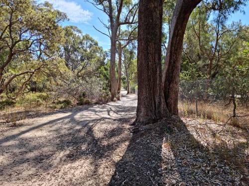 Best Hikes and Trails in Paganoni Swamp Reserve | AllTrails