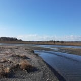 Fogland Beach, Rhode Island - 41 Reviews, Map | AllTrails