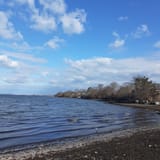 Fogland Beach, Rhode Island - 38 Reviews, Map | AllTrails