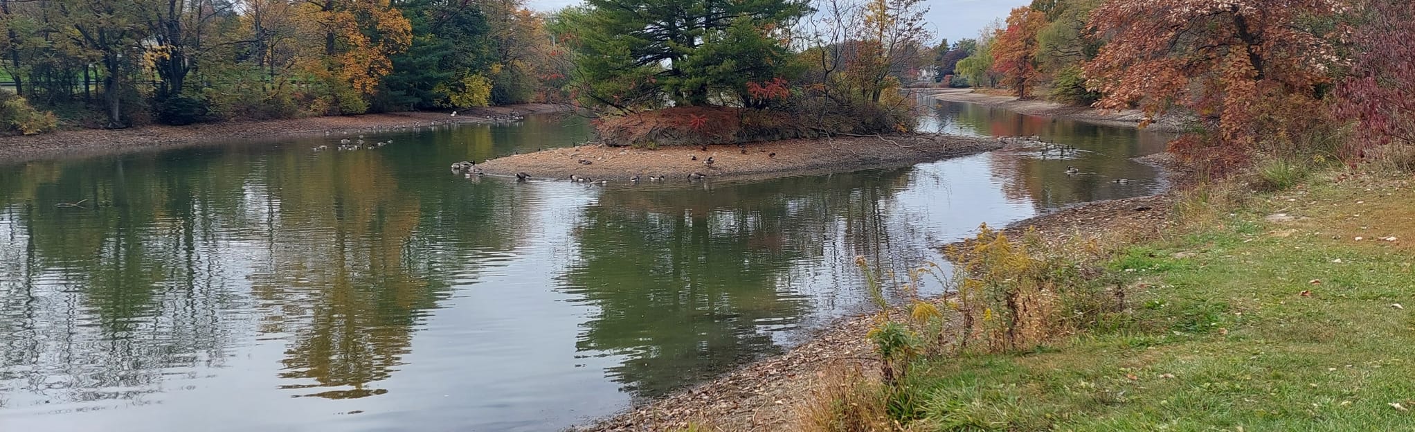 Lion’s Lake Walking Path: 307 Reviews, Map - Pennsylvania | AllTrails