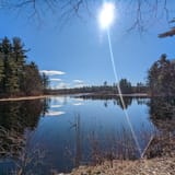 Douglas Forest Wallis Pond Loop Trail, Massachusetts - 883 Reviews, Map ...