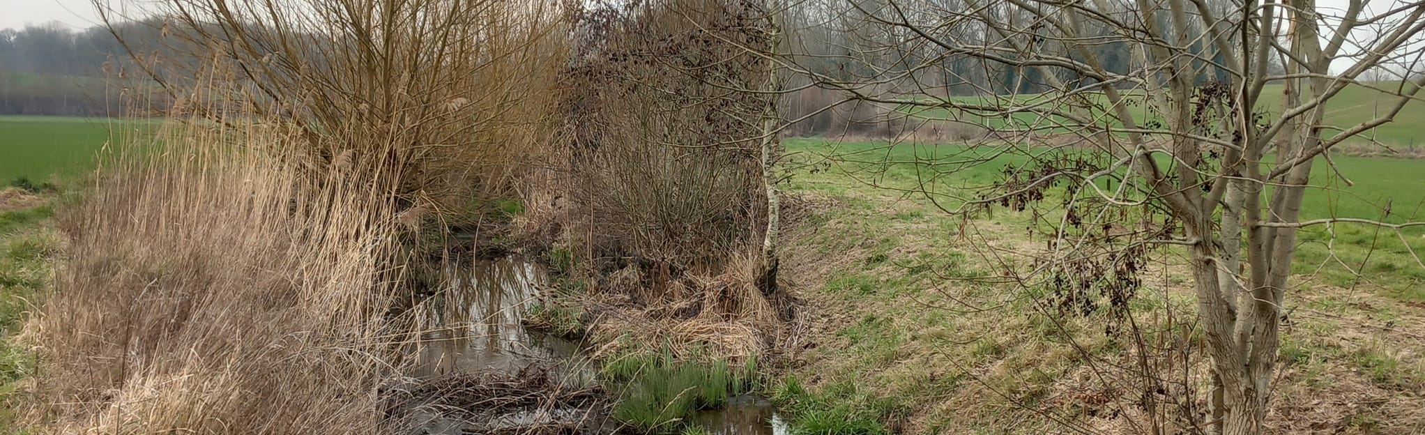 Autour de Caix, Somme, France - 6 Reviews, Map | AllTrails