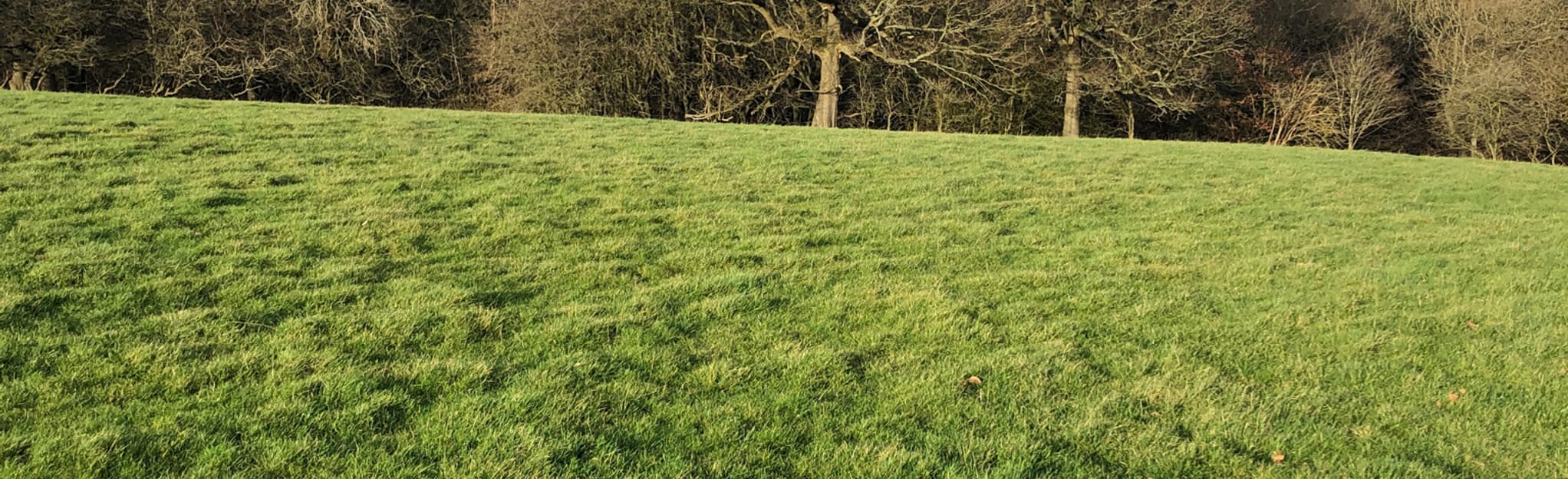 Shelf Circular, West Yorkshire, England - 11 Reviews, Map | AllTrails