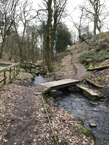 Best Hikes and Trails in Shelf Hall Park | AllTrails