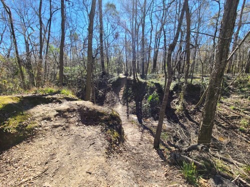 Best Hikes and Trails in Comite River Park | AllTrails