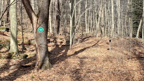 Best Hikes and Trails in Seven Springs Mountain Resort | AllTrails