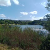 Majik Forest Walking Trail, Western Cape, South Africa - 189 Reviews ...