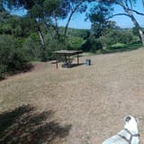 Majik Forest Walking Trail, Western Cape, South Africa - 189 Reviews ...