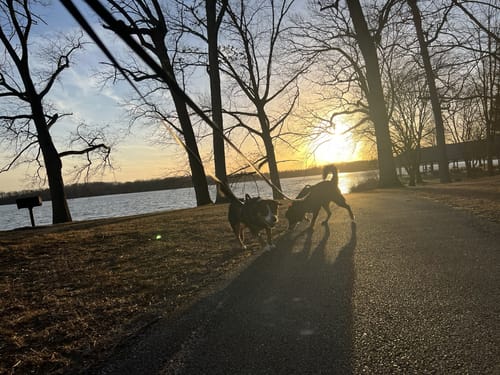 Best Hikes and Trails in Wingfoot Lake State Park | AllTrails