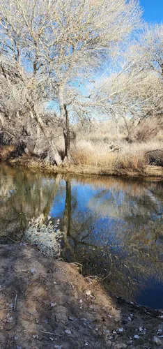 Best Hikes and Trails in Kern River Preserve | AllTrails