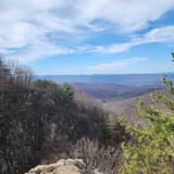 Mathews Arm Overall Run Trail, Virginia - 211 Reviews, Map | AllTrails