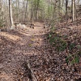 Mathews Arm Overall Run Trail, Virginia - 242 Reviews, Map | AllTrails