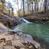 Mathews Arm Overall Run Trail, Virginia - 242 Reviews, Map | AllTrails