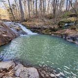 Mathews Arm Overall Run Trail, Virginia - 242 Reviews, Map | AllTrails