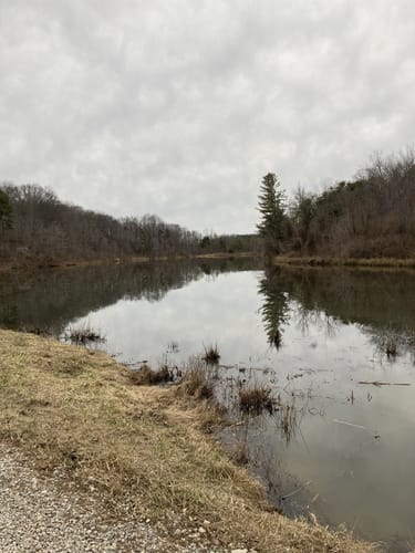 Best 10 Hikes and Trails in Wayne National Forest | AllTrails