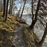 Norrie Point Trail, New York - 498 Reviews, Map | AllTrails