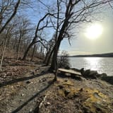 Norrie Point Trail, New York - 498 Reviews, Map | AllTrails