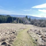 Cooks Butte Loop, Oregon - 399 Reviews, Map | AllTrails