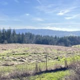 Cooks Butte Loop, Oregon - 399 Reviews, Map | AllTrails