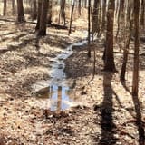 Bartram Trail: West Dam Recreation Area to Washington Road, South ...