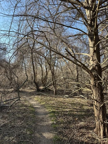 Best Hikes and Trails in David Overton Trail | AllTrails