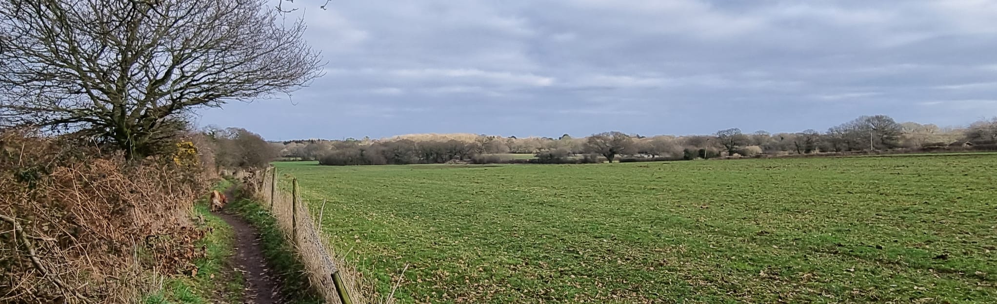 Willaston and Windmills Circular, Cheshire, England - 77 Reviews, Map ...