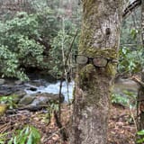 Cashes Valley Road, Georgia - 254 Reviews, Map | AllTrails