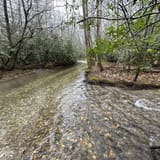 Cashes Valley Road, Georgia - 254 Reviews, Map | AllTrails