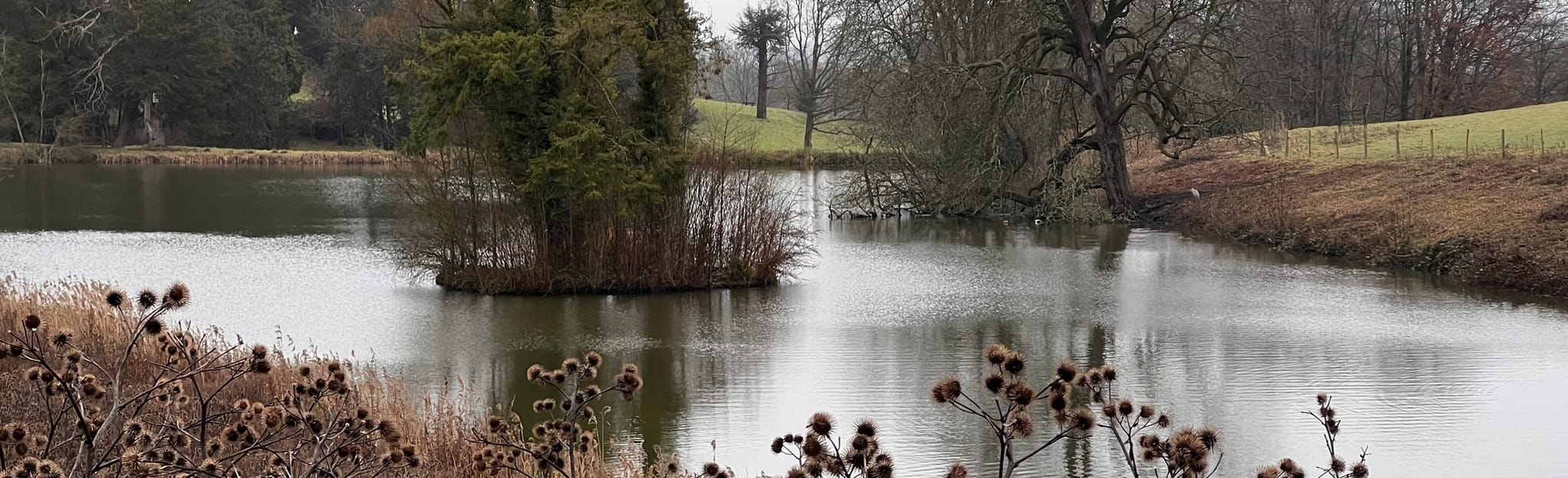 North Downs and Banstead Heath Circular: 630 foto - Surrey, Inghilterra ...