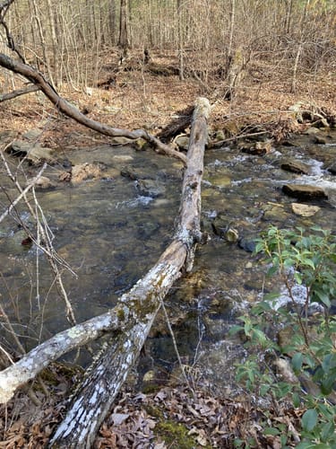 Best Hikes and Trails in Free Union | AllTrails