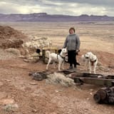 Sun Valley Mine Trail, Arizona - 144 Reviews, Map | AllTrails