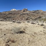 Christmas Tree Pass, Nevada - 65 Reviews, Map | AllTrails