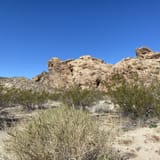 Christmas Tree Pass, Nevada - 65 Reviews, Map | AllTrails