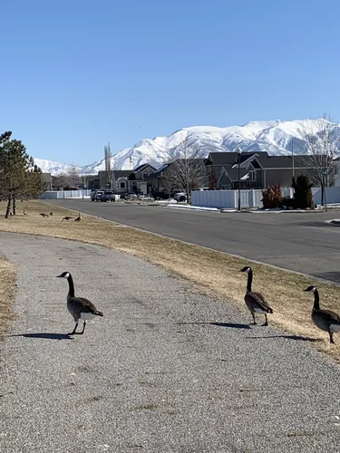 Best Hikes and Trails in Clinton Pond Park | AllTrails