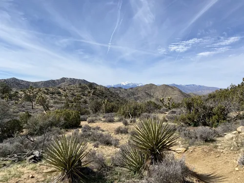 10 Best Trails and Hikes in Yucca Valley | AllTrails