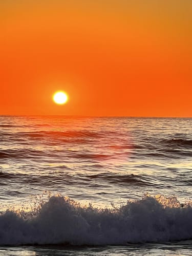 Best Hikes and Trails in Meroo National Park | AllTrails