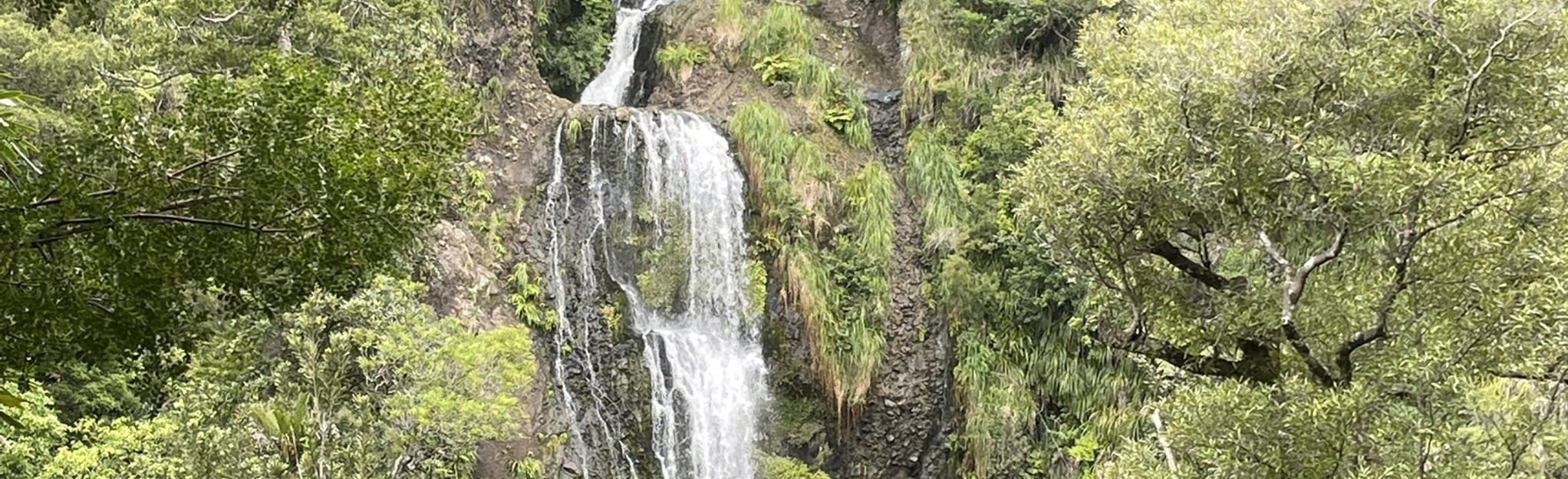 Kitekite Falls Path: 380 Reviews, Map - Auckland, New Zealand | AllTrails