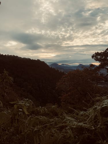 2023 Best 10 Trails and Hikes in West Java | AllTrails