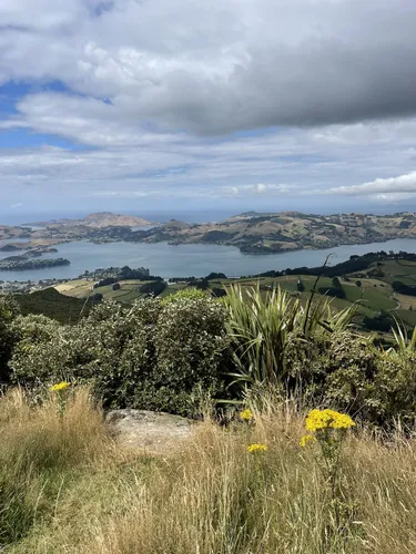Best Hikes and Trails in Mount Cargill Scenic Reserve | AllTrails