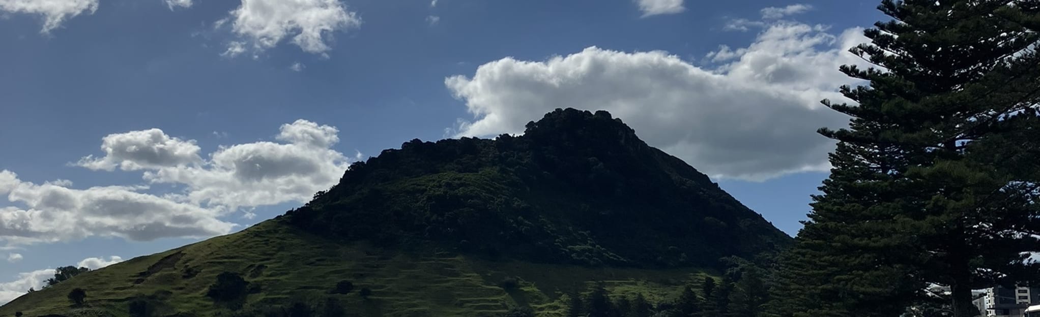 Pilot Bay Beach Foreshore, Bay of Plenty, New Zealand - 27 Reviews, Map ...